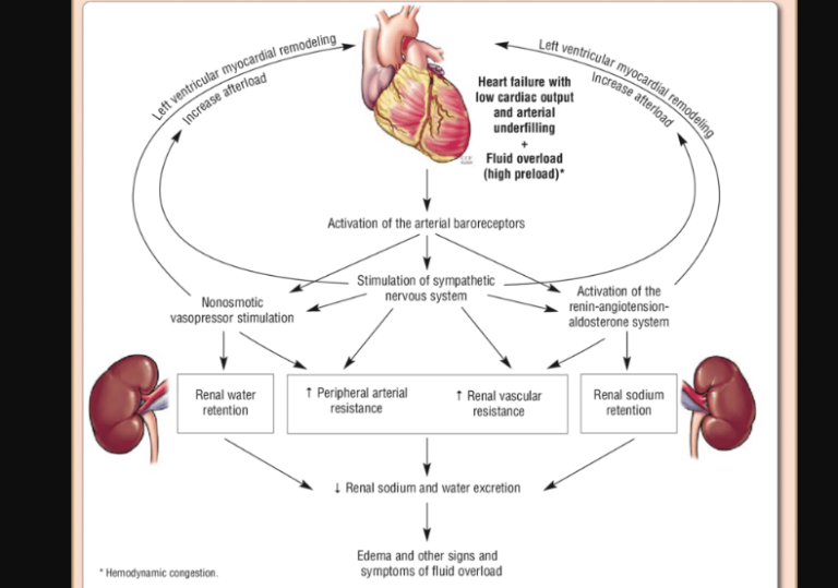 Rosemarie Parse Theory of Human Becoming | Free Essay Examples
