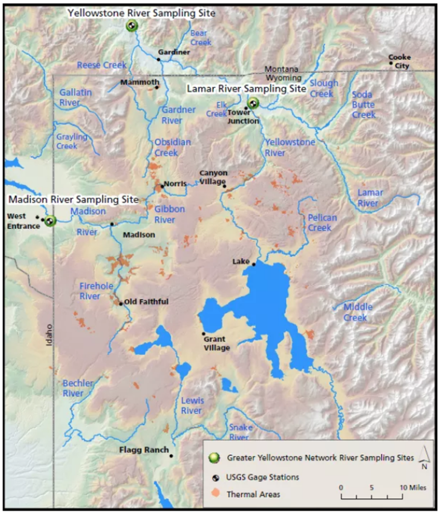 A Report on the Sustainable Development of Yellowstone Park | Free Essay Examples